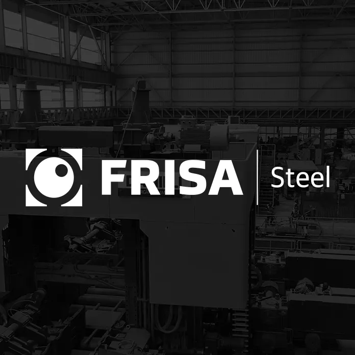 Frisa Steel